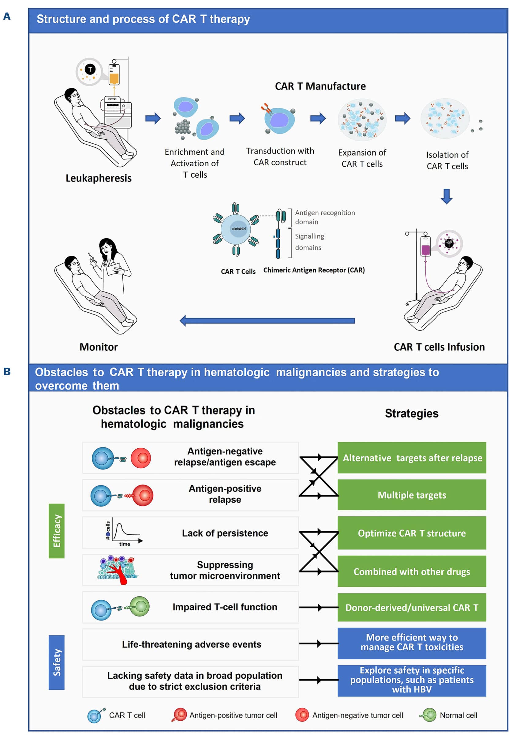 Terapie personalizzate con cellule T nel trattamento delle neoplasie ...